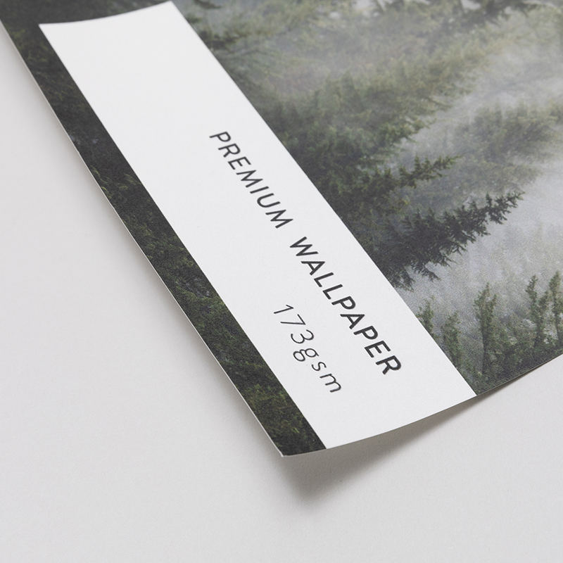 Print Paper Samples. Paper Samples For Printing To Order.