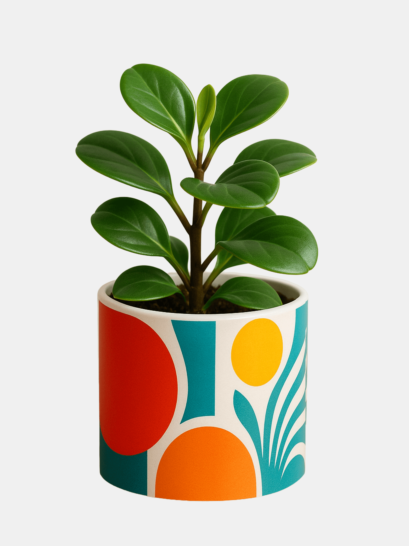 Custom Plant Pots | Create Personalized Flower Pots